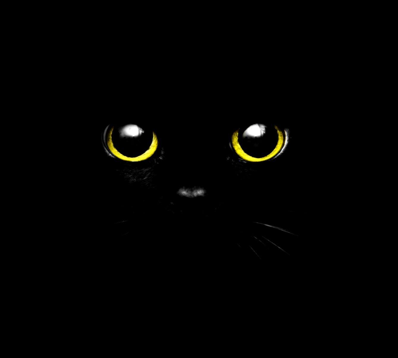 Cute Eye Wallpapers - Top Free Cute Eye Backgrounds - WallpaperAccess