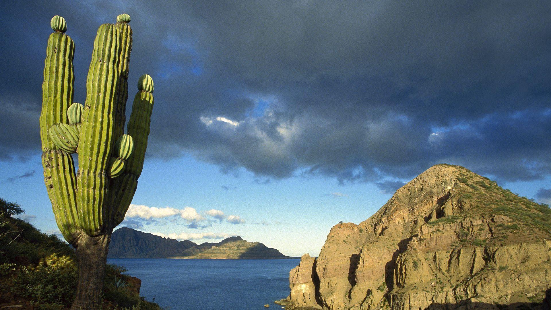 California Landscape Wallpapers - Top Free California Landscape ...