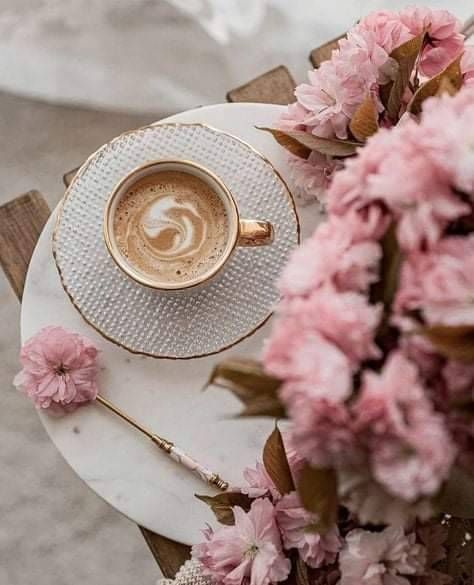 Coffee Flower Wallpapers - Top Free Coffee Flower Backgrounds ...