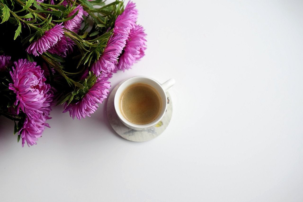 Coffee Flower Wallpapers - Top Free Coffee Flower Backgrounds ...