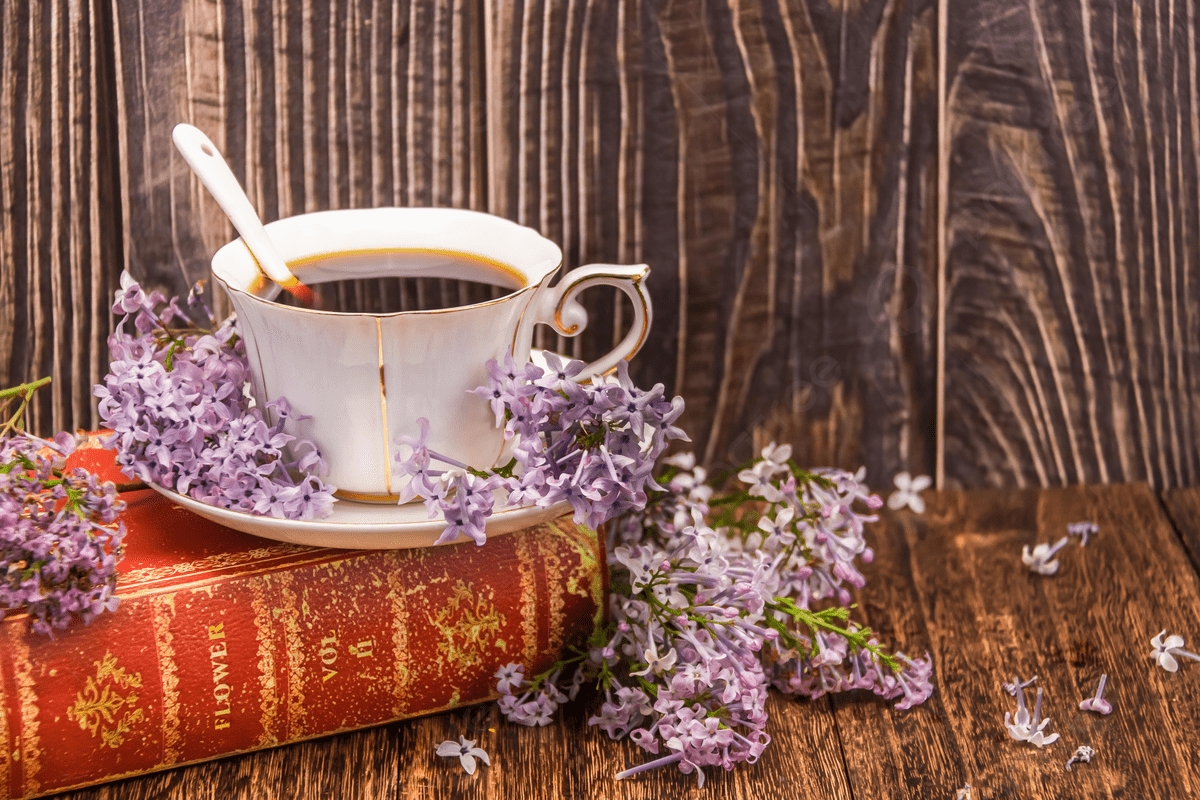 Coffee Flower Wallpapers - Top Free Coffee Flower Backgrounds ...