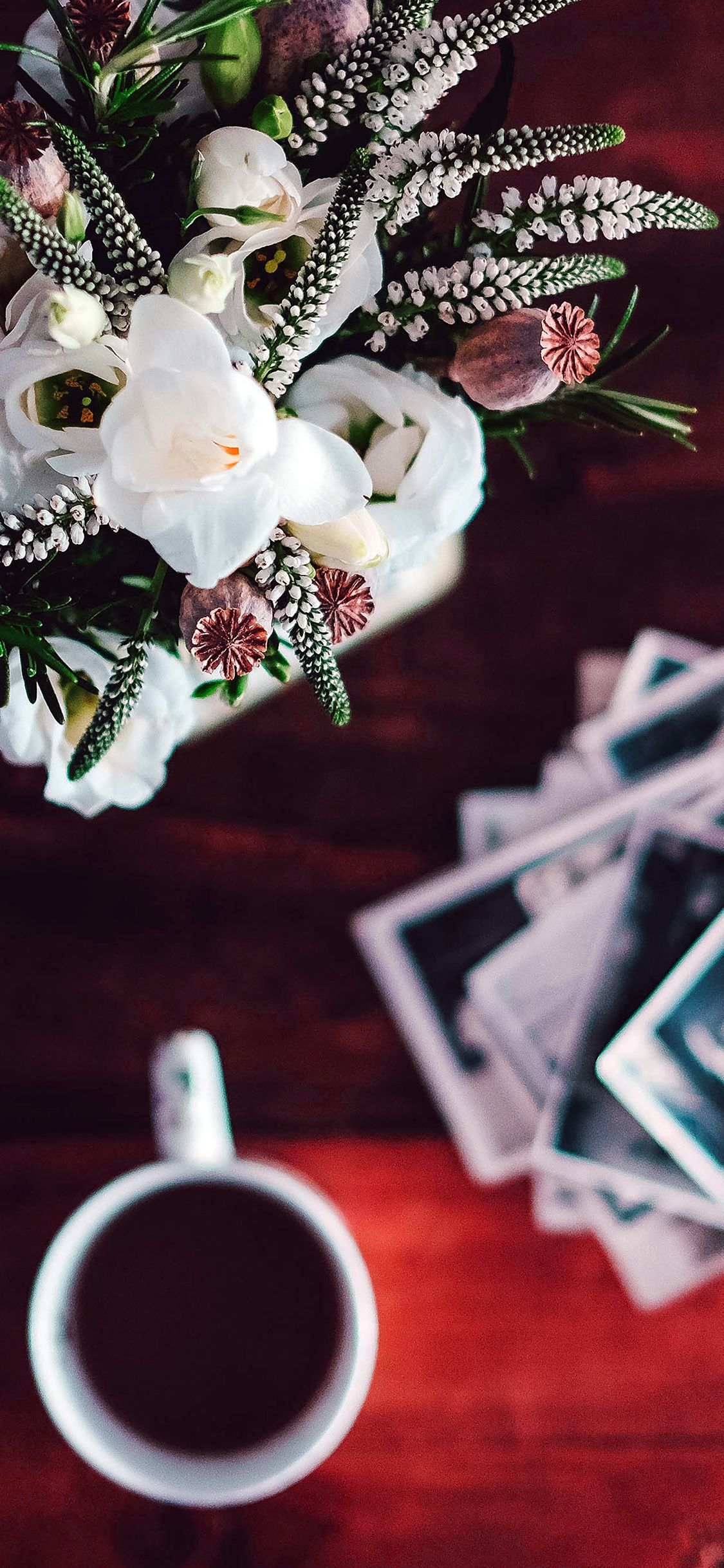 Coffee Flower Wallpapers - Top Free Coffee Flower Backgrounds ...