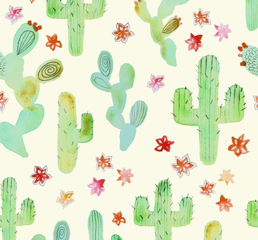 Cactus Flower Wallpapers - Top Free Cactus Flower Backgrounds ...