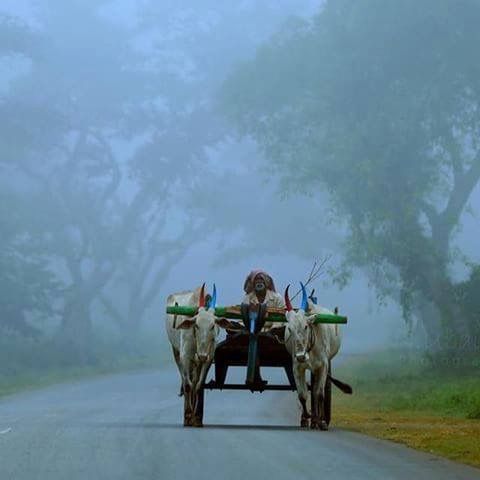 Rural India Wallpapers - Top Free Rural India Backgrounds - WallpaperAccess