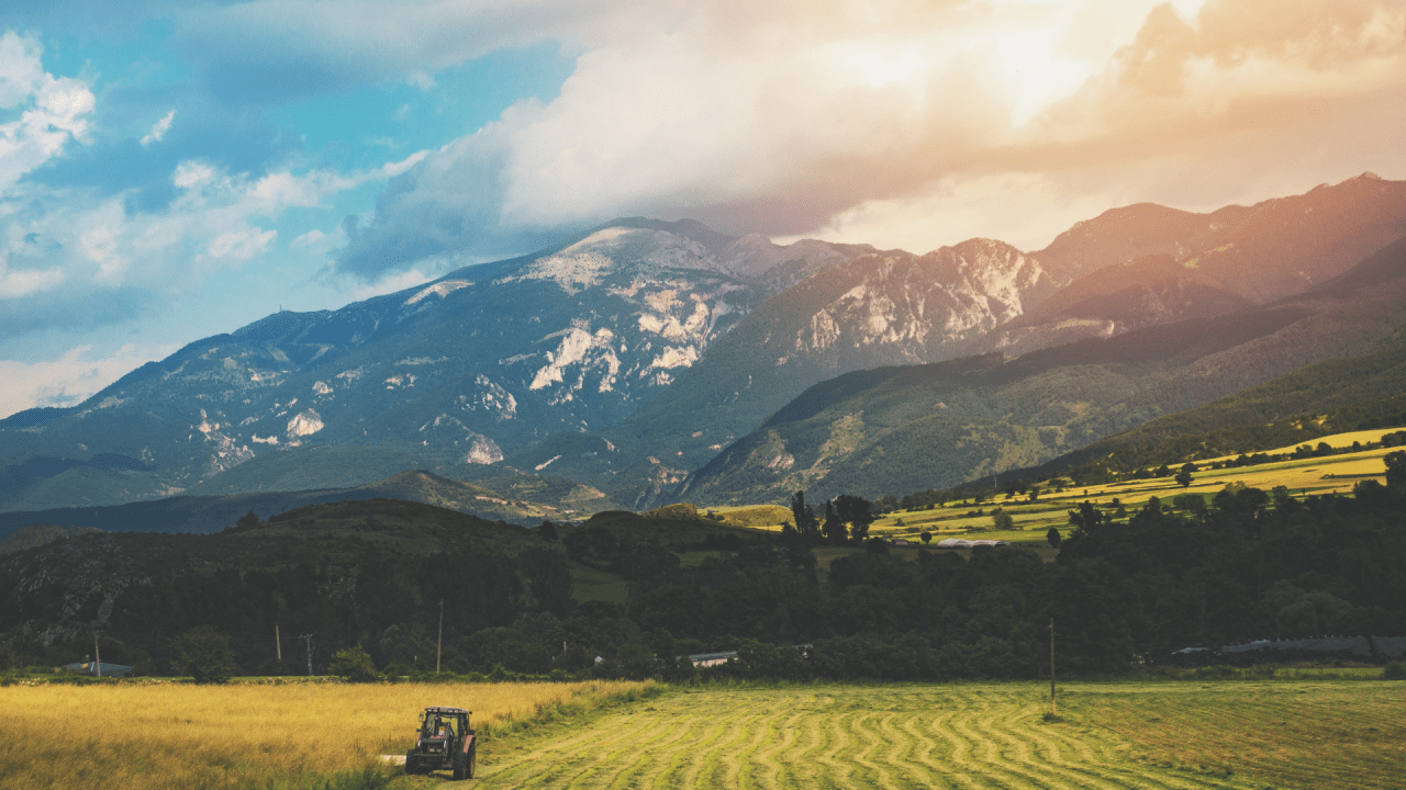 Rural India Wallpapers - Top Free Rural India Backgrounds - WallpaperAccess