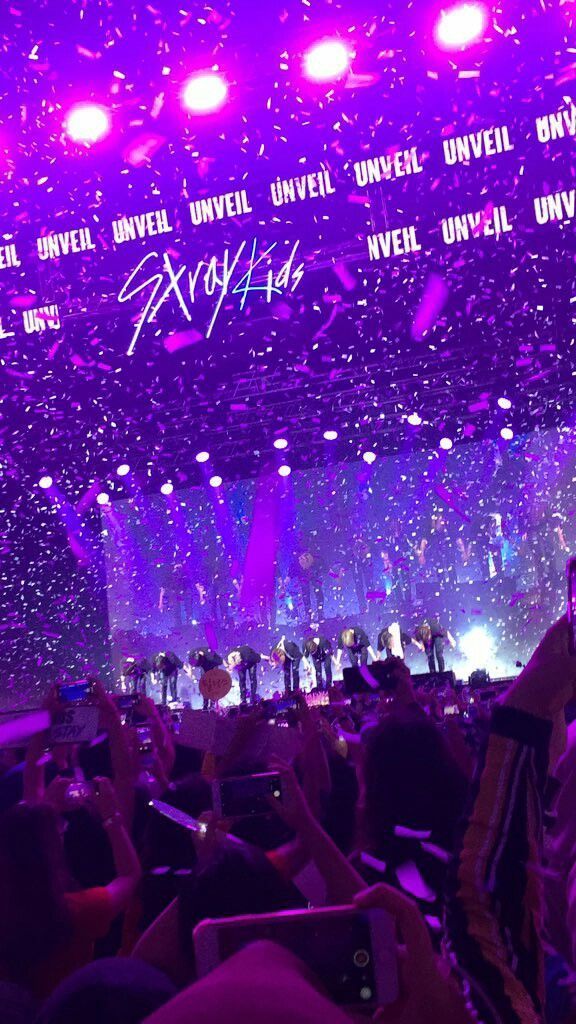Stray Kids Concert Wallpapers - Top Free Stray Kids Concert Backgrounds ...