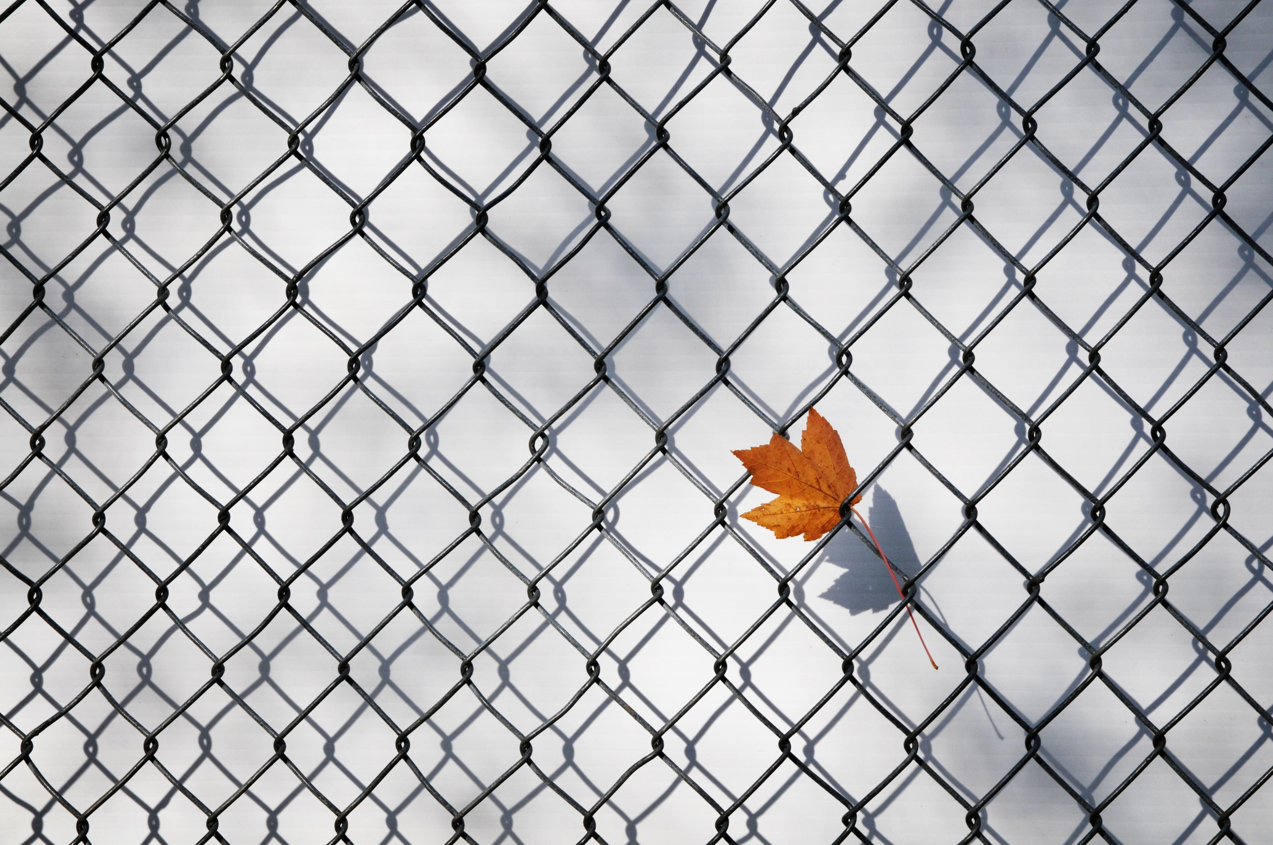 Minimalist Autumn Wallpapers - Top Free Minimalist Autumn Backgrounds ...