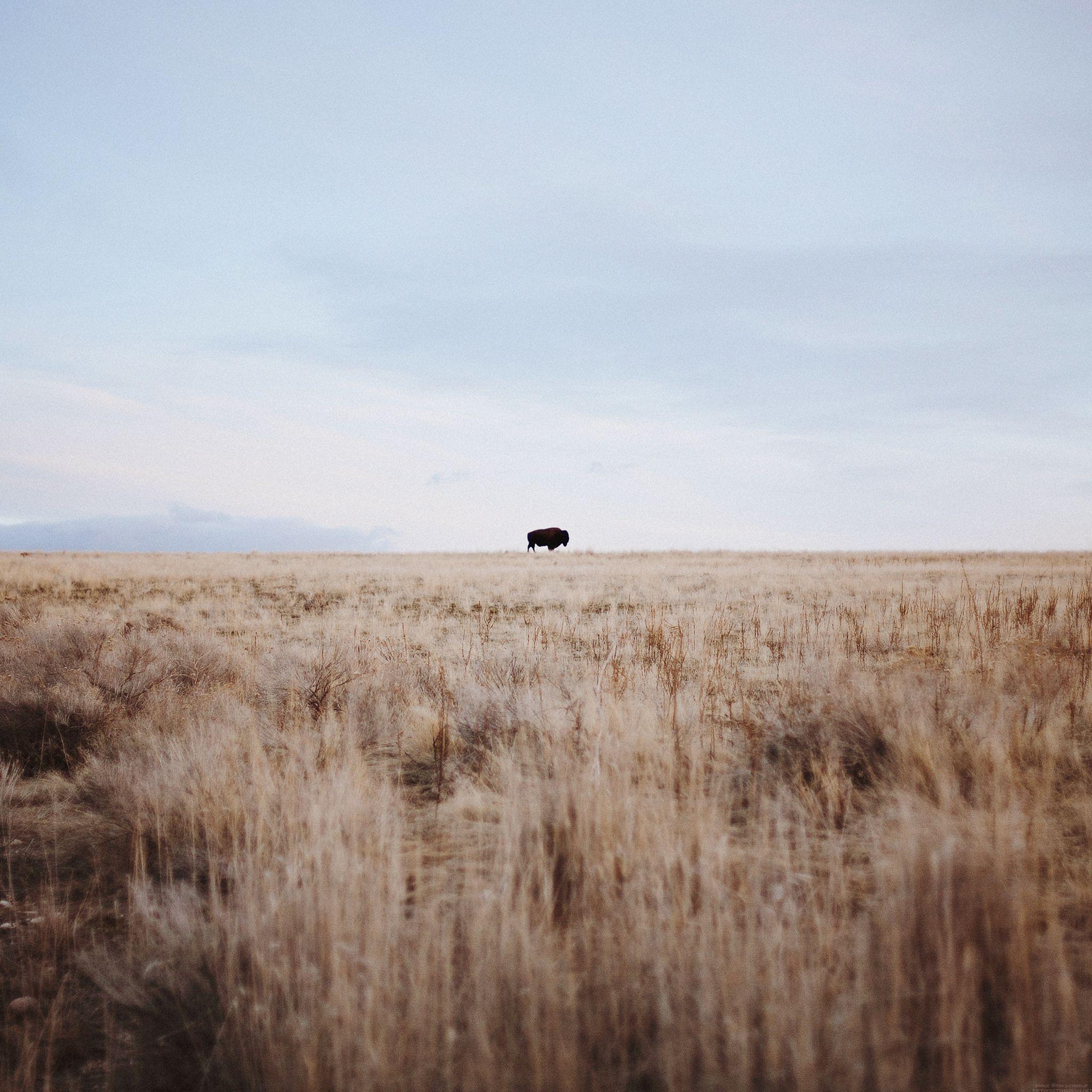 Minimalist Photography Wallpapers - Top Free Minimalist Photography ...