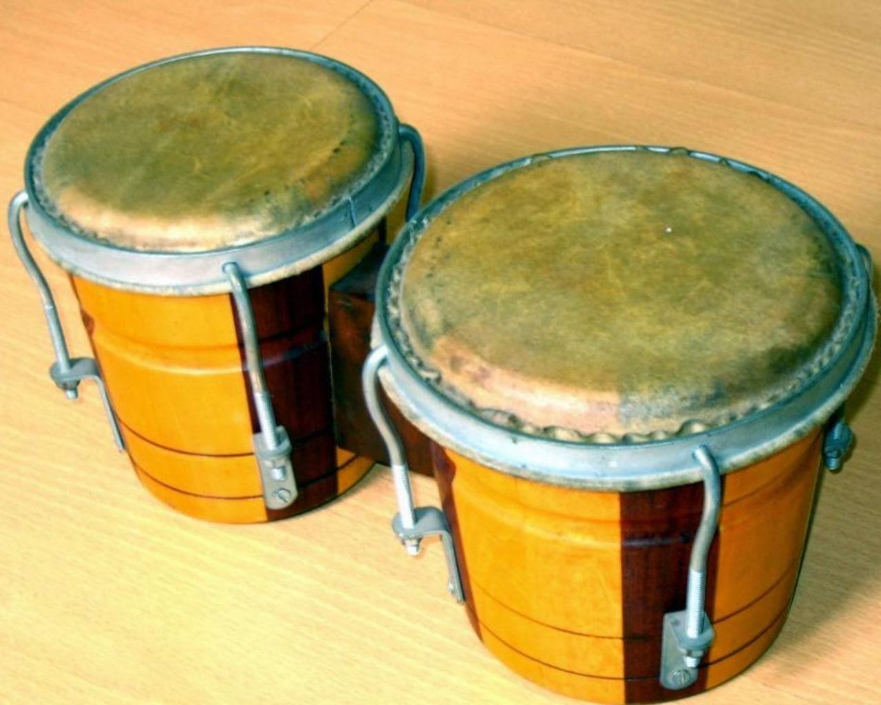 Bongo Wallpapers - Top Free Bongo Backgrounds - WallpaperAccess