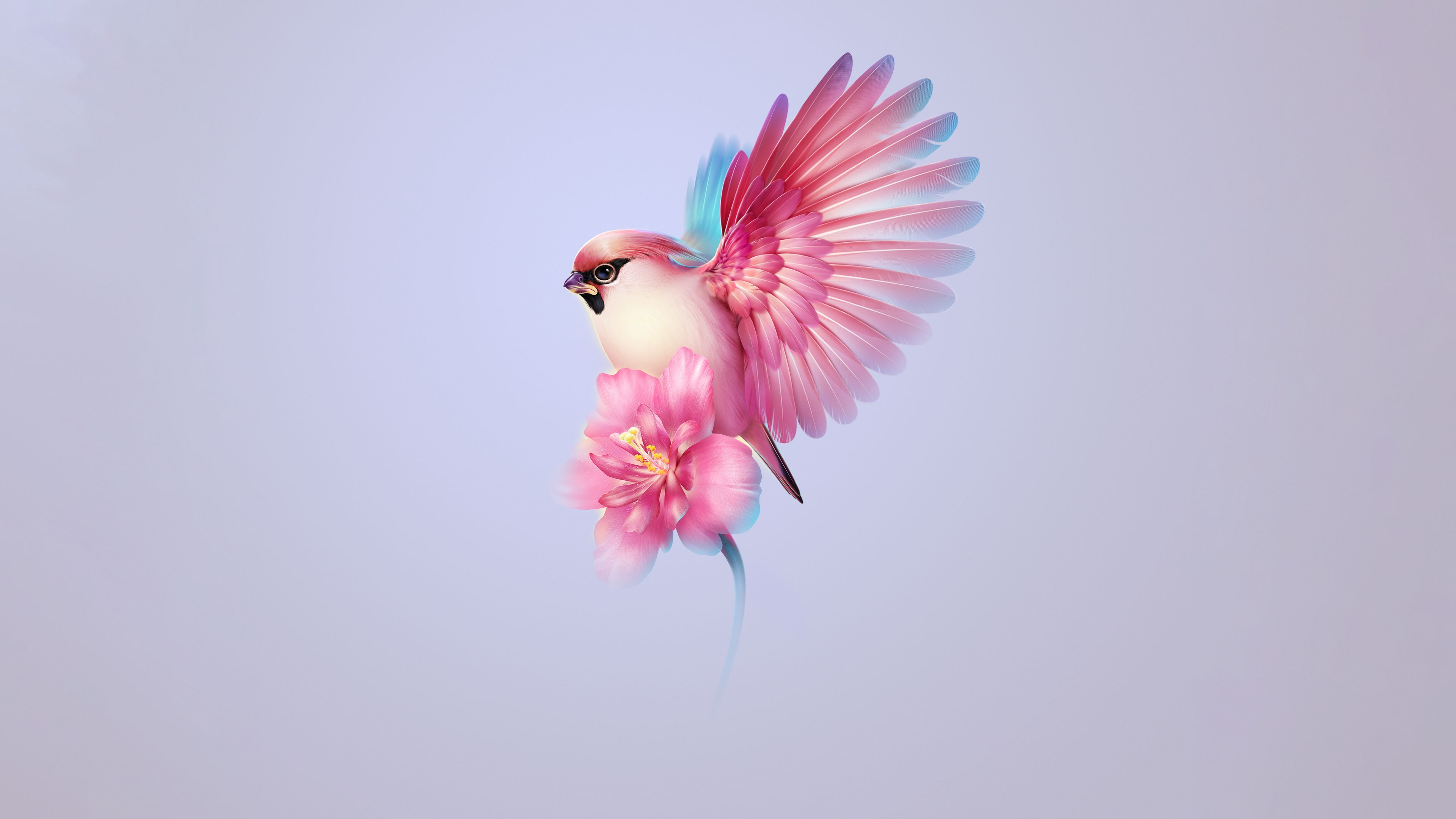 Birds 8k Wallpapers - Top Free Birds 8k Backgrounds - WallpaperAccess