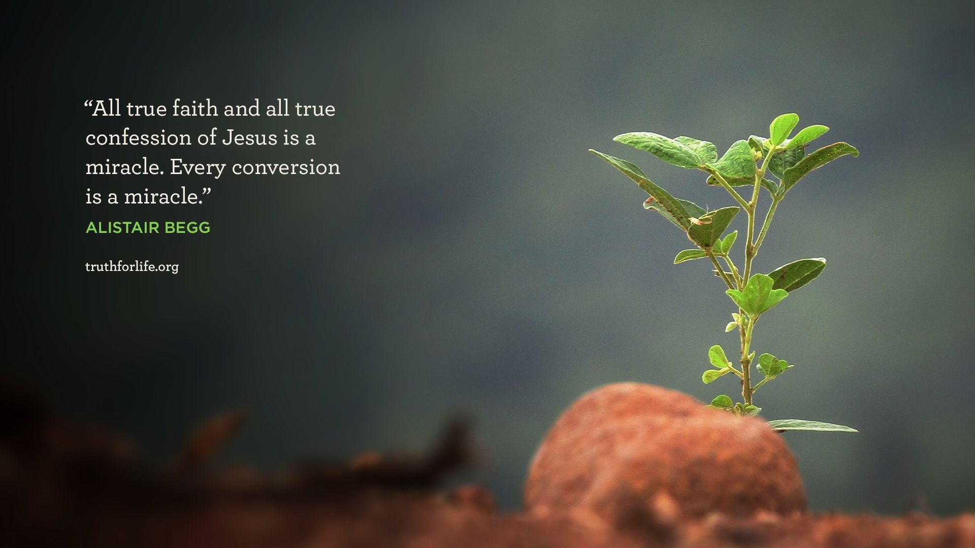 Confession Wallpapers - Top Free Confession Backgrounds - WallpaperAccess