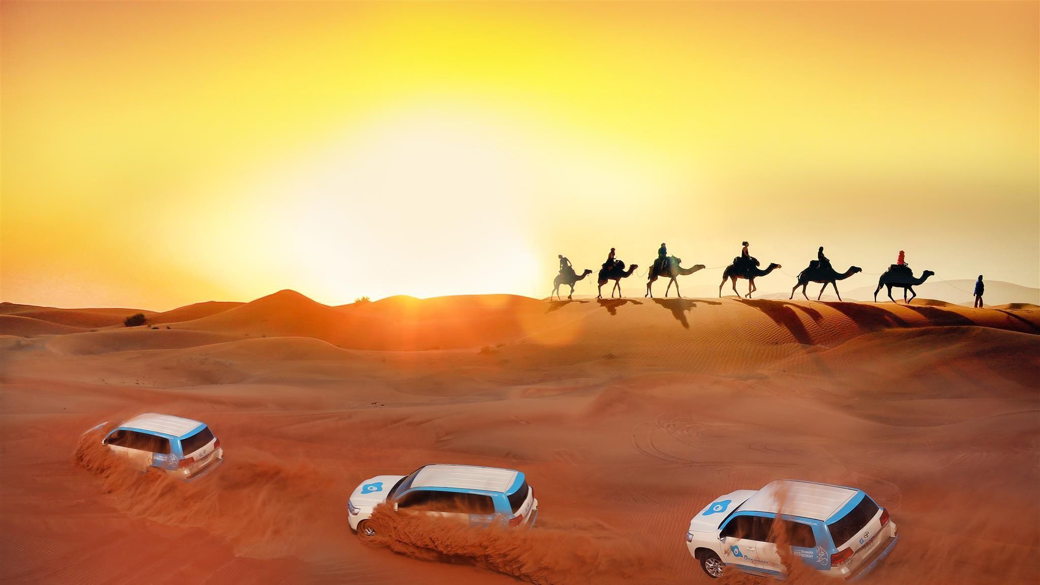 Dubai Desert Safari Wallpapers - Top Free Dubai Desert Safari ...