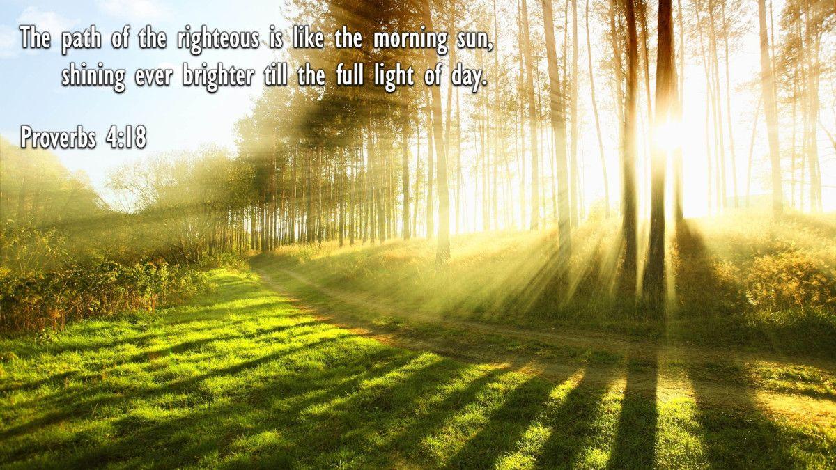 Proverbs Wallpapers - Top Free Proverbs Backgrounds - WallpaperAccess