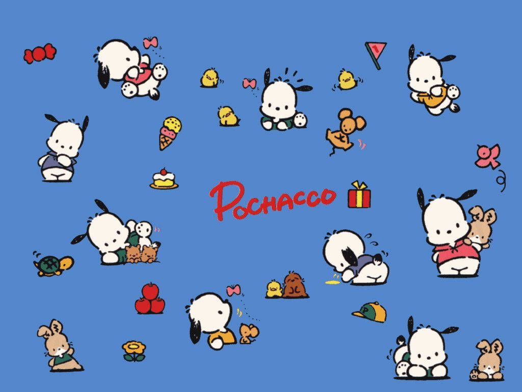 Pochacoo Wallpapers - Top Free Pochacoo Backgrounds - WallpaperAccess