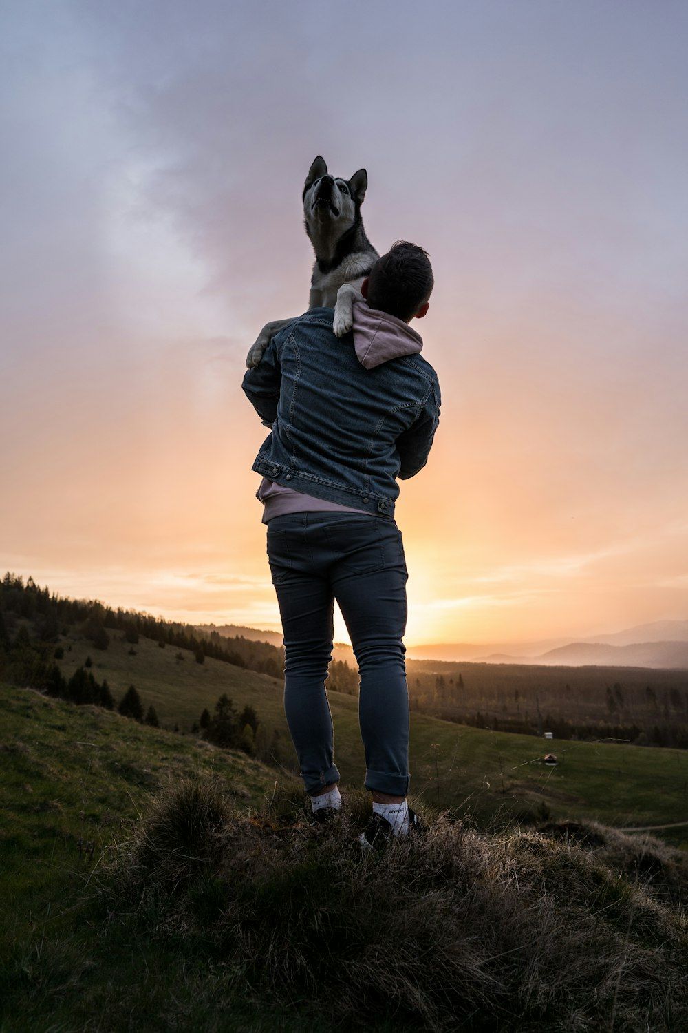 Man and Dog Wallpapers - Top Free Man and Dog Backgrounds - WallpaperAccess