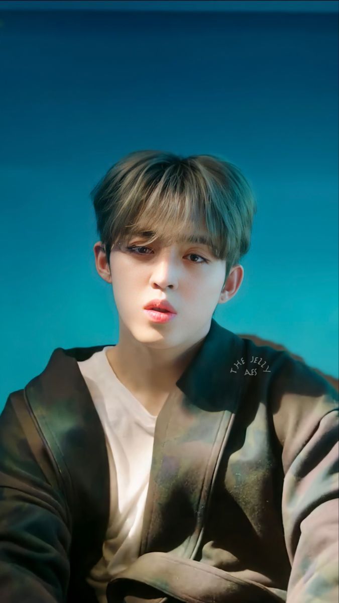 Seungcheol Wallpapers - Top Free Seungcheol Backgrounds - WallpaperAccess
