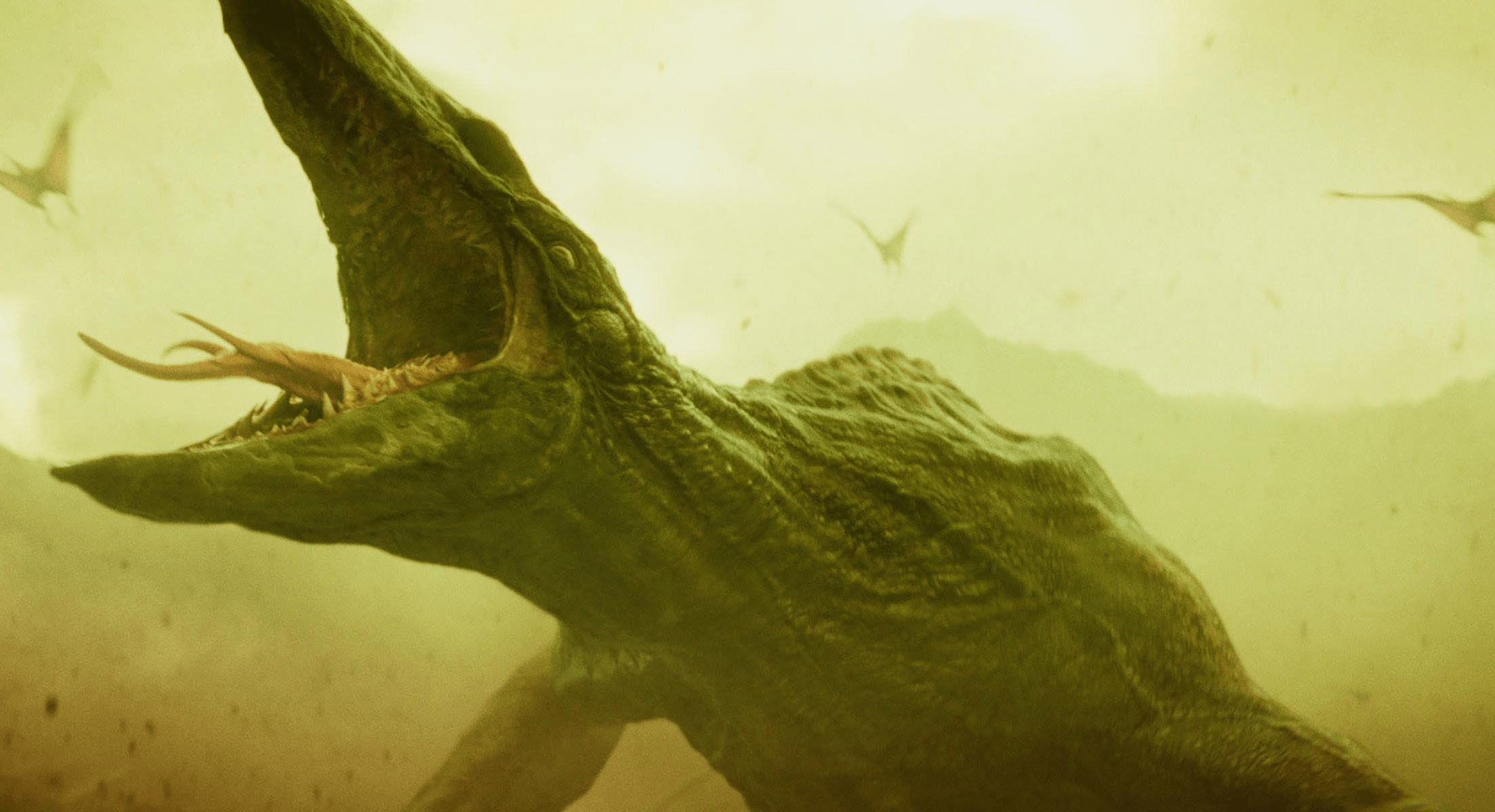 Skullcrawler Wallpapers - Top Free Skullcrawler Backgrounds - WallpaperAccess