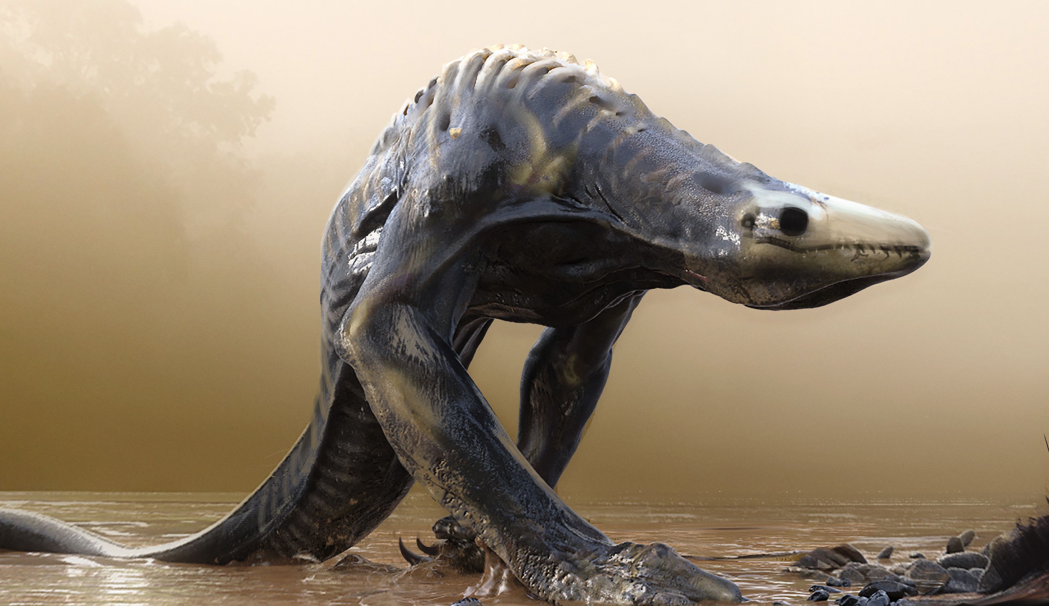 Skullcrawler Wallpapers - Top Free Skullcrawler Backgrounds ...