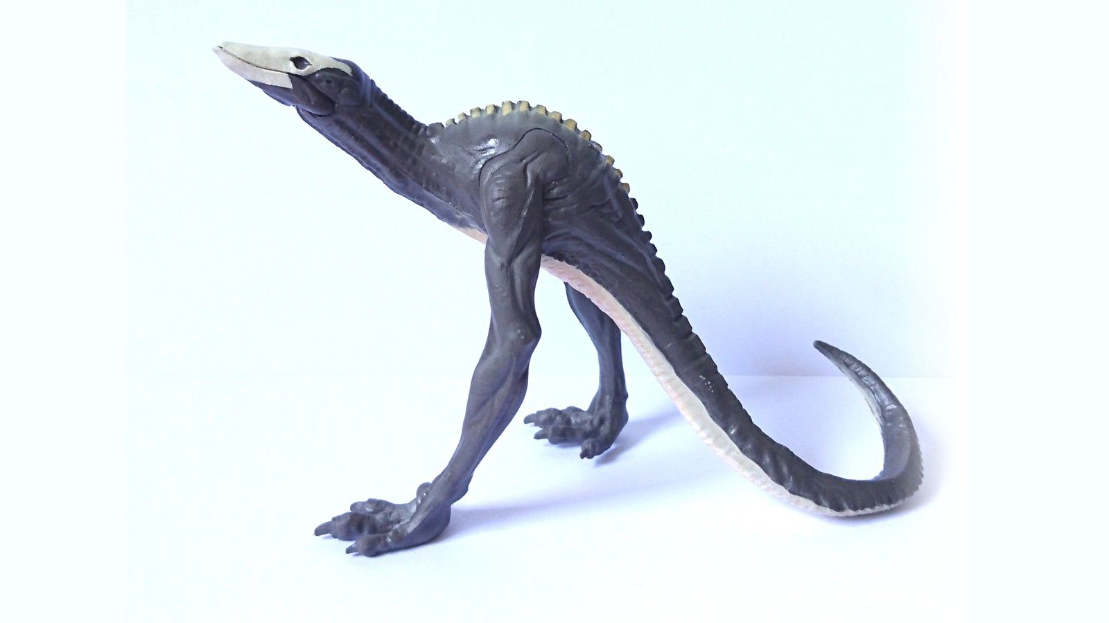 Skullcrawler Wallpapers - Top Free Skullcrawler Backgrounds ...