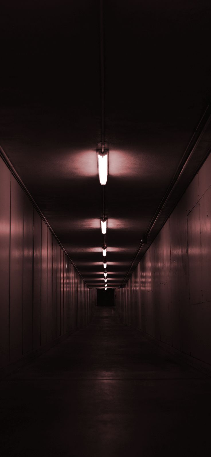 Perfect Dark Wallpapers - Top Free Perfect Dark Backgrounds ...