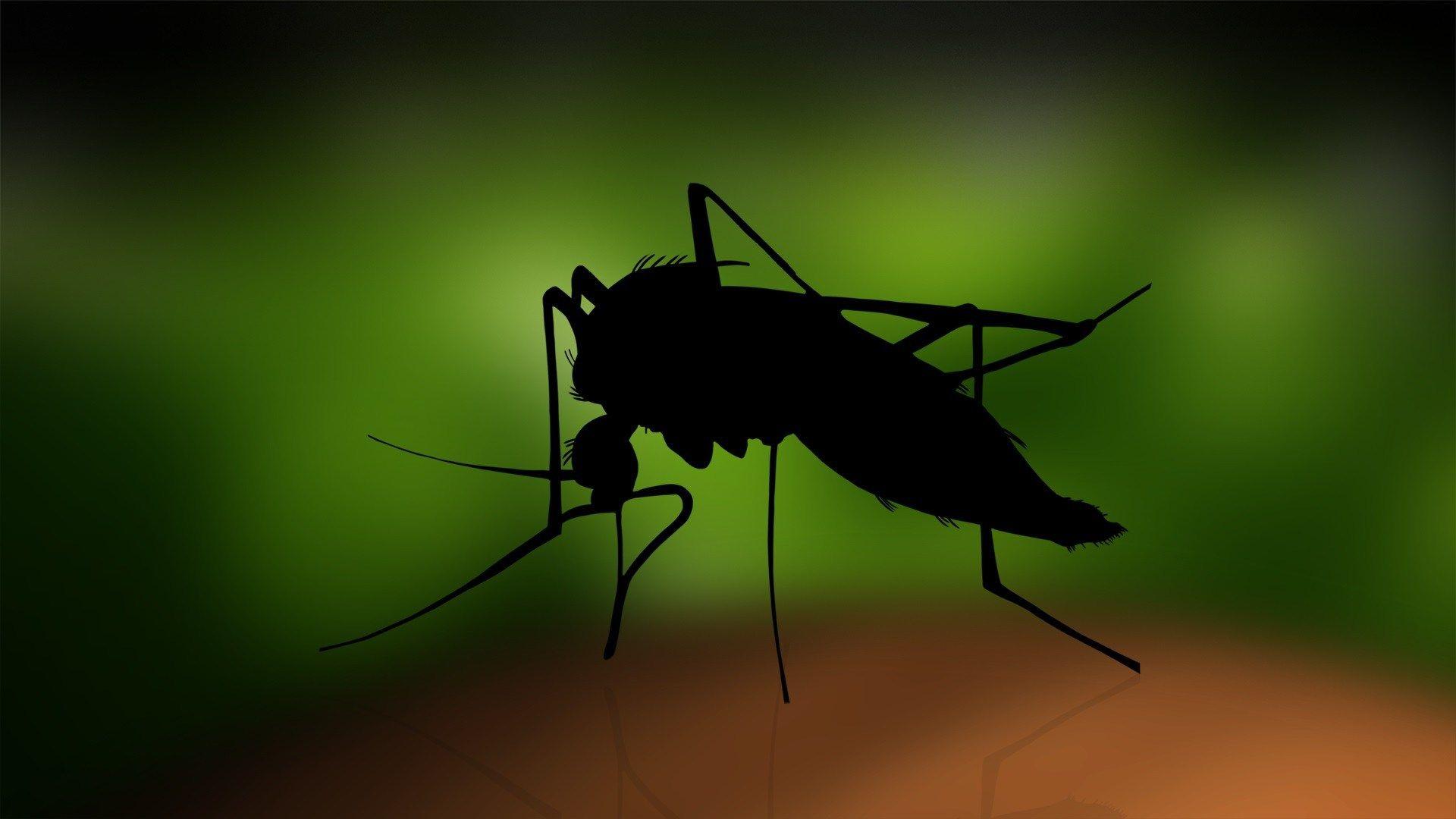 Virus Wallpapers - Top Free Virus Backgrounds - WallpaperAccess