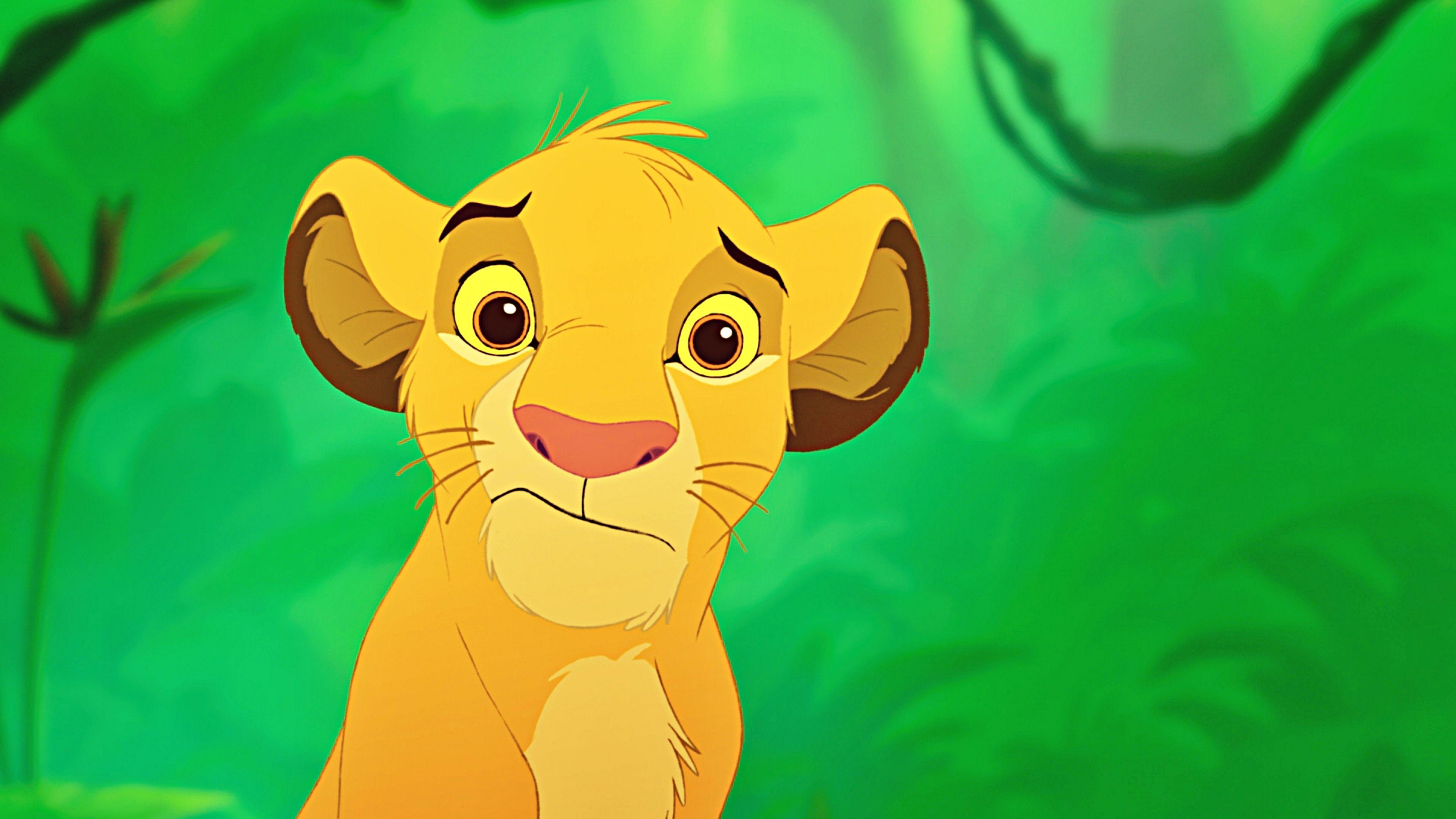 Simba Wallpapers - Top Free Simba Backgrounds - WallpaperAccess