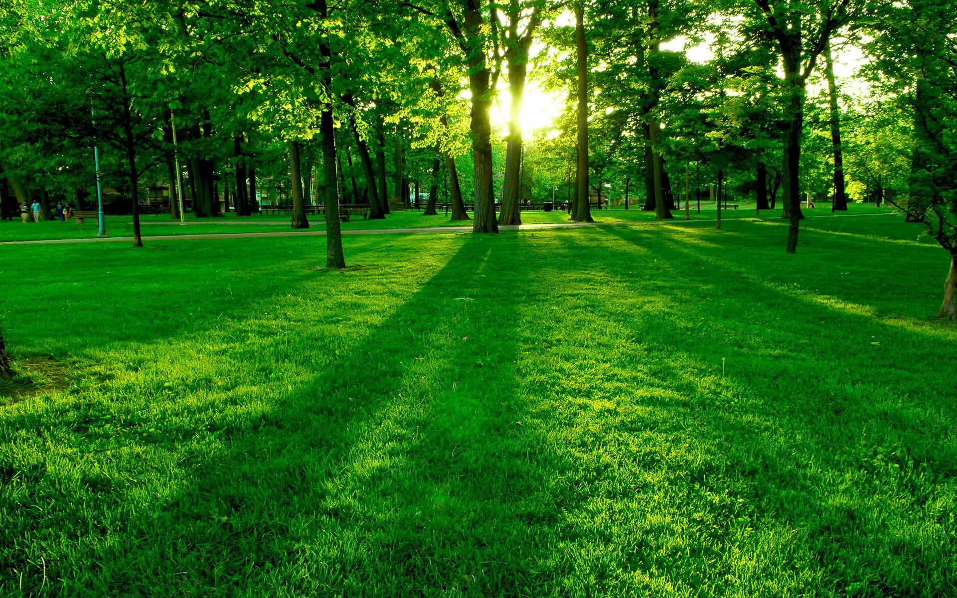 Green Spring Wallpapers - Top Free Green Spring Backgrounds ...