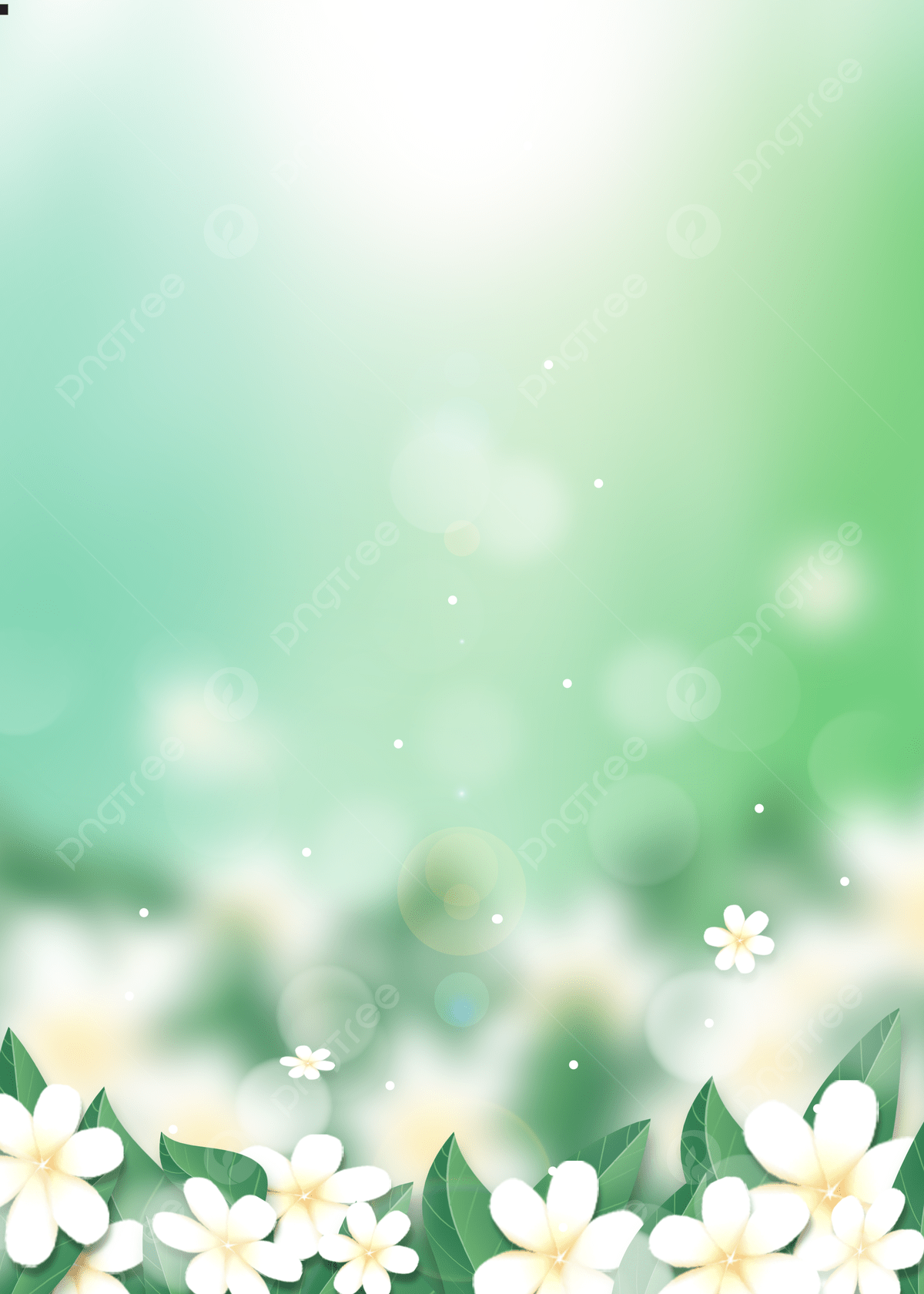 Spring Green Wallpapers - Top Free Spring Green Backgrounds ...