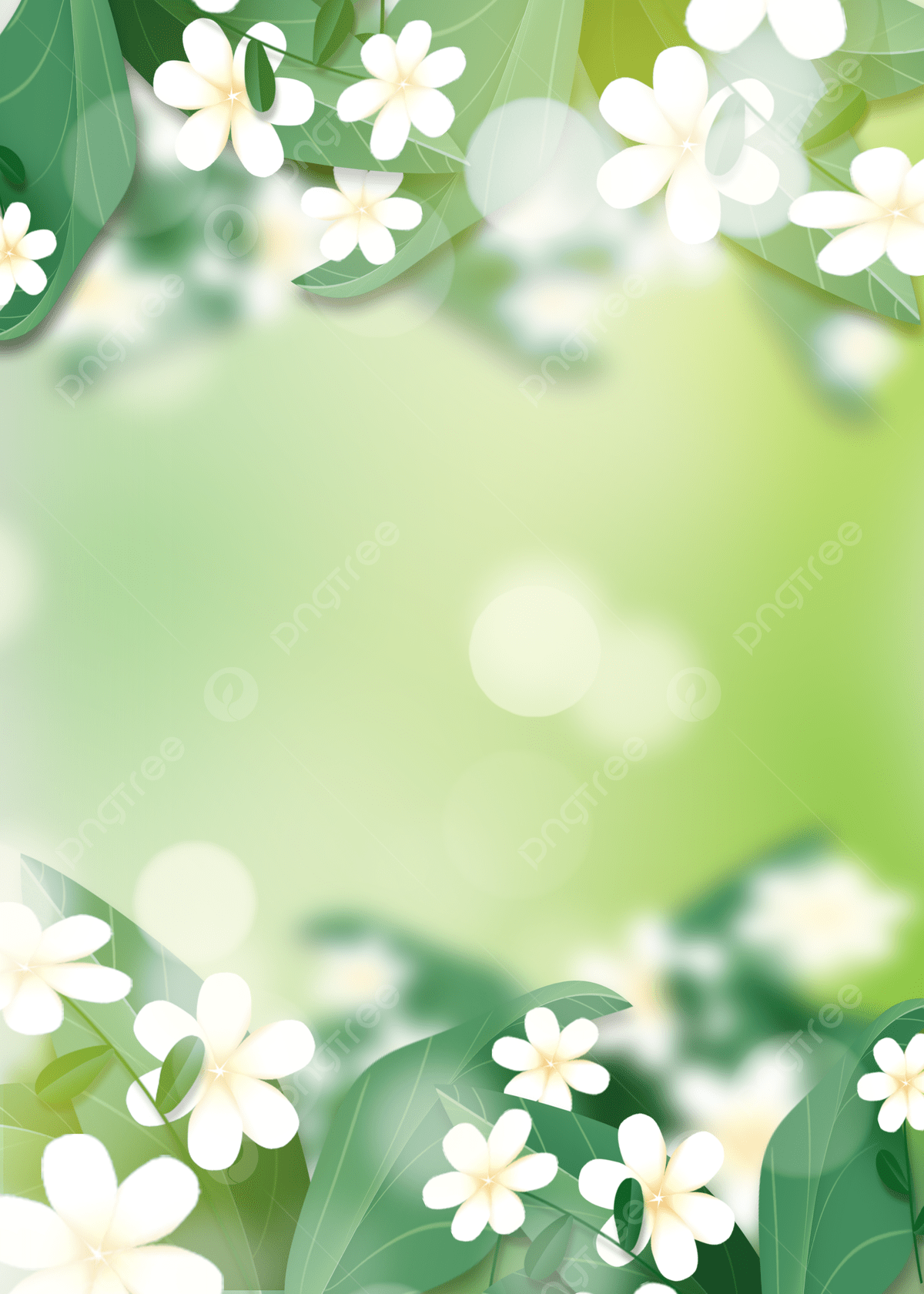 Green Spring Wallpapers - Top Free Green Spring Backgrounds ...