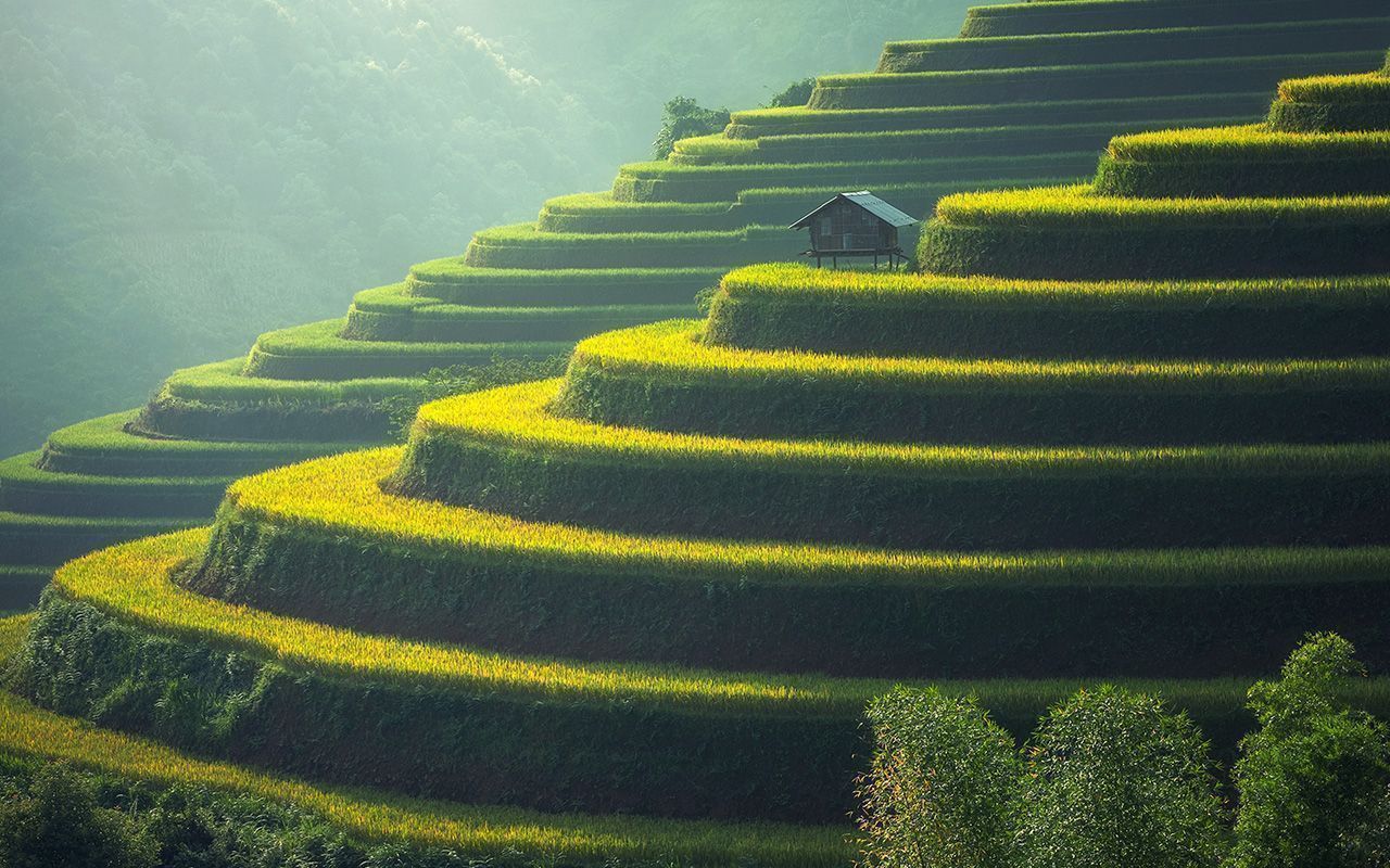 Green Farm Wallpapers - Top Free Green Farm Backgrounds - WallpaperAccess