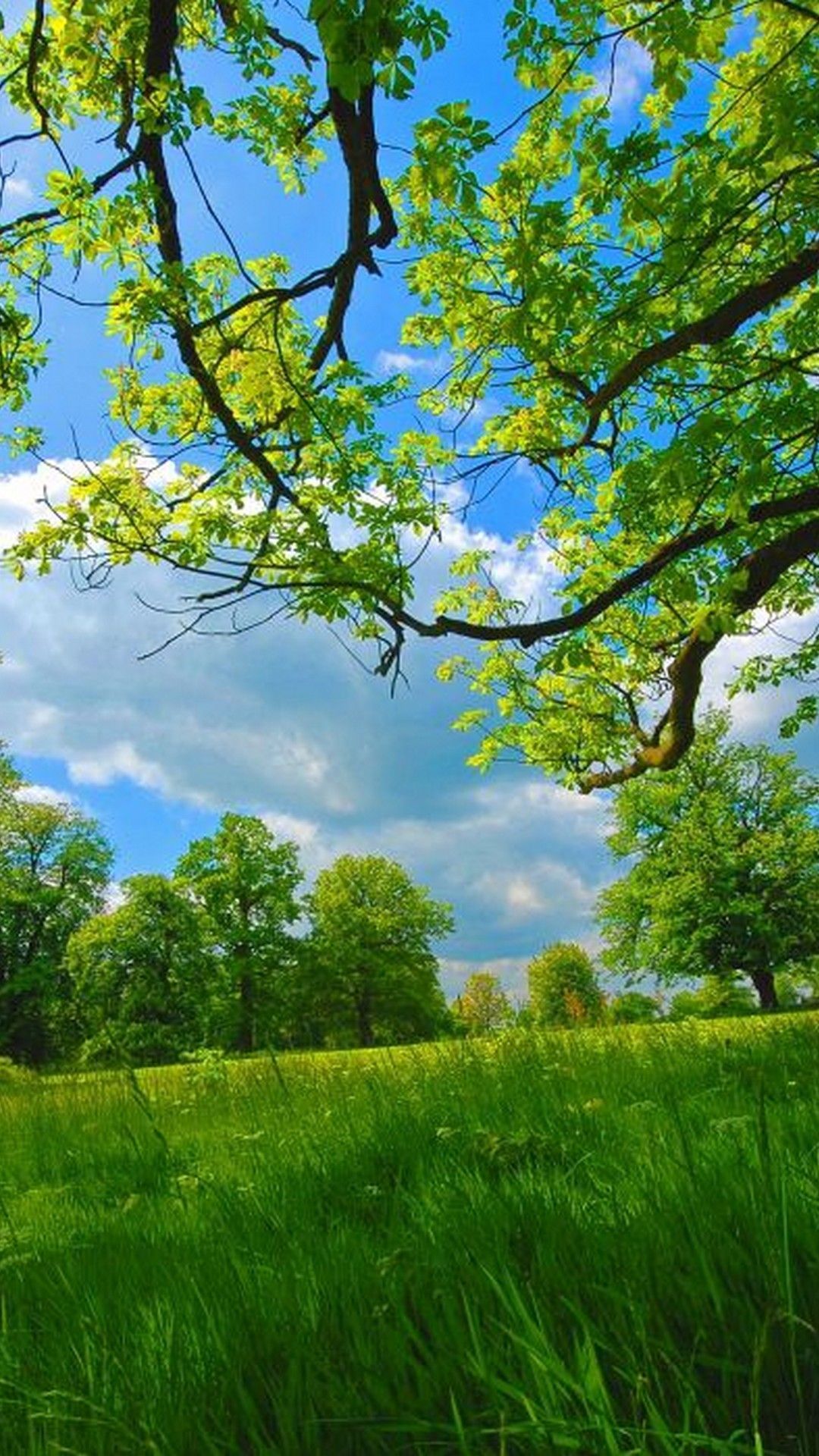 Spring Green Wallpapers - Top Free Spring Green Backgrounds ...