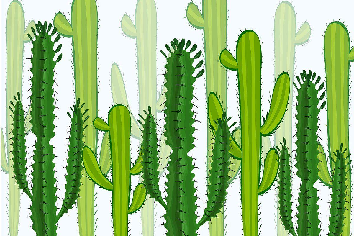 Cacti Wallpapers - Top Free Cacti Backgrounds - WallpaperAccess