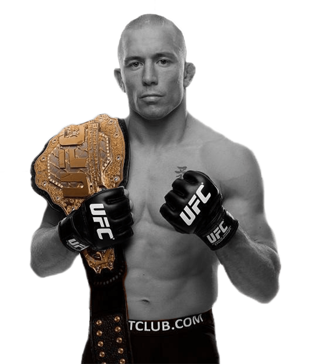 George Saint Pierre Wallpapers - Top Free George Saint Pierre Backgrounds - WallpaperAccess