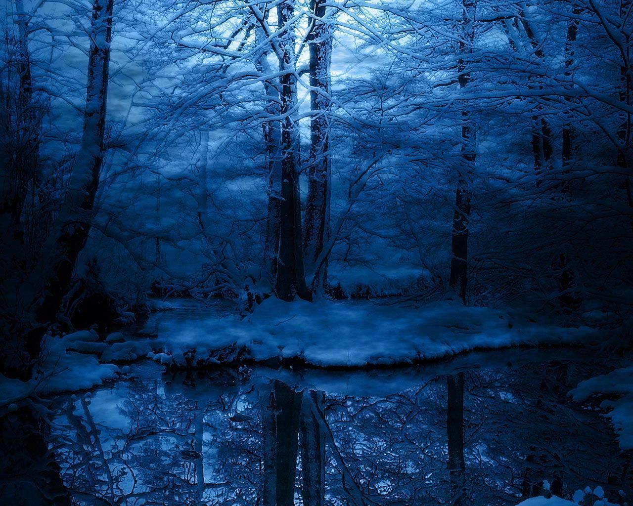 Dark Blue Forest Wallpapers - Top Free Dark Blue Forest Backgrounds ...