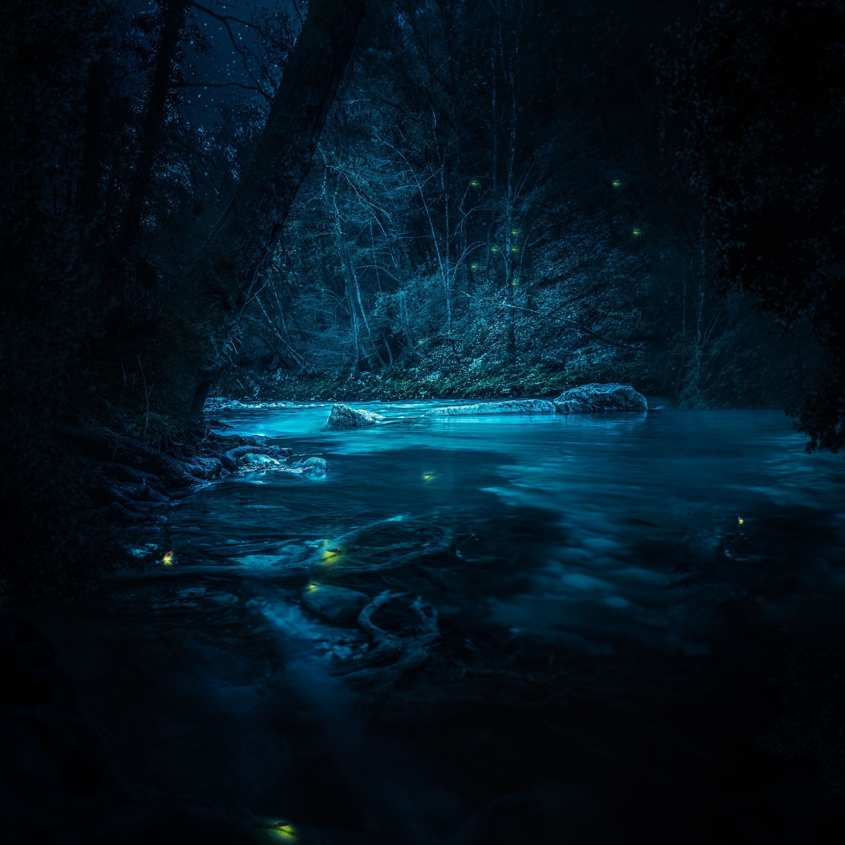 Dark Blue Forest Wallpapers - Top Free Dark Blue Forest Backgrounds ...