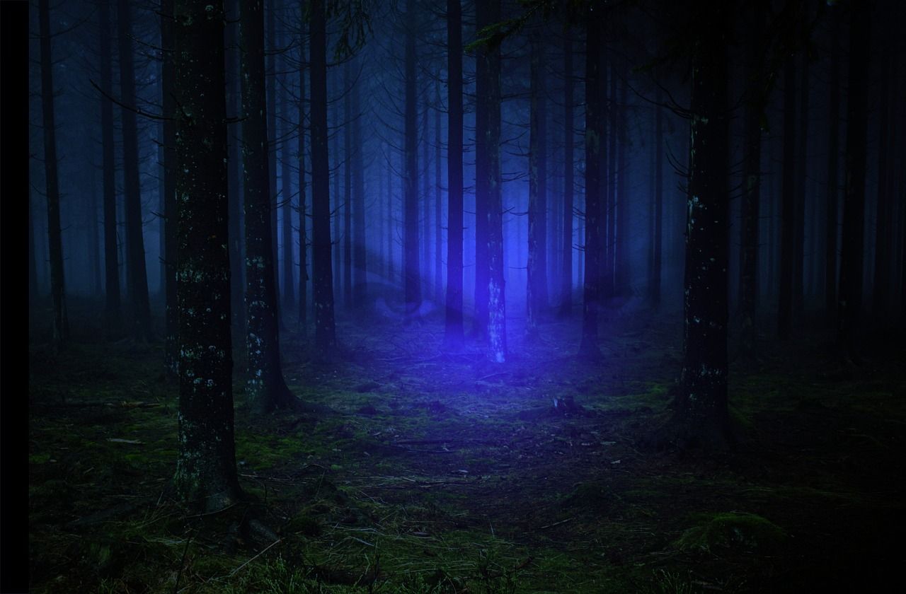 Dark Blue Forest Wallpapers - Top Free Dark Blue Forest Backgrounds ...