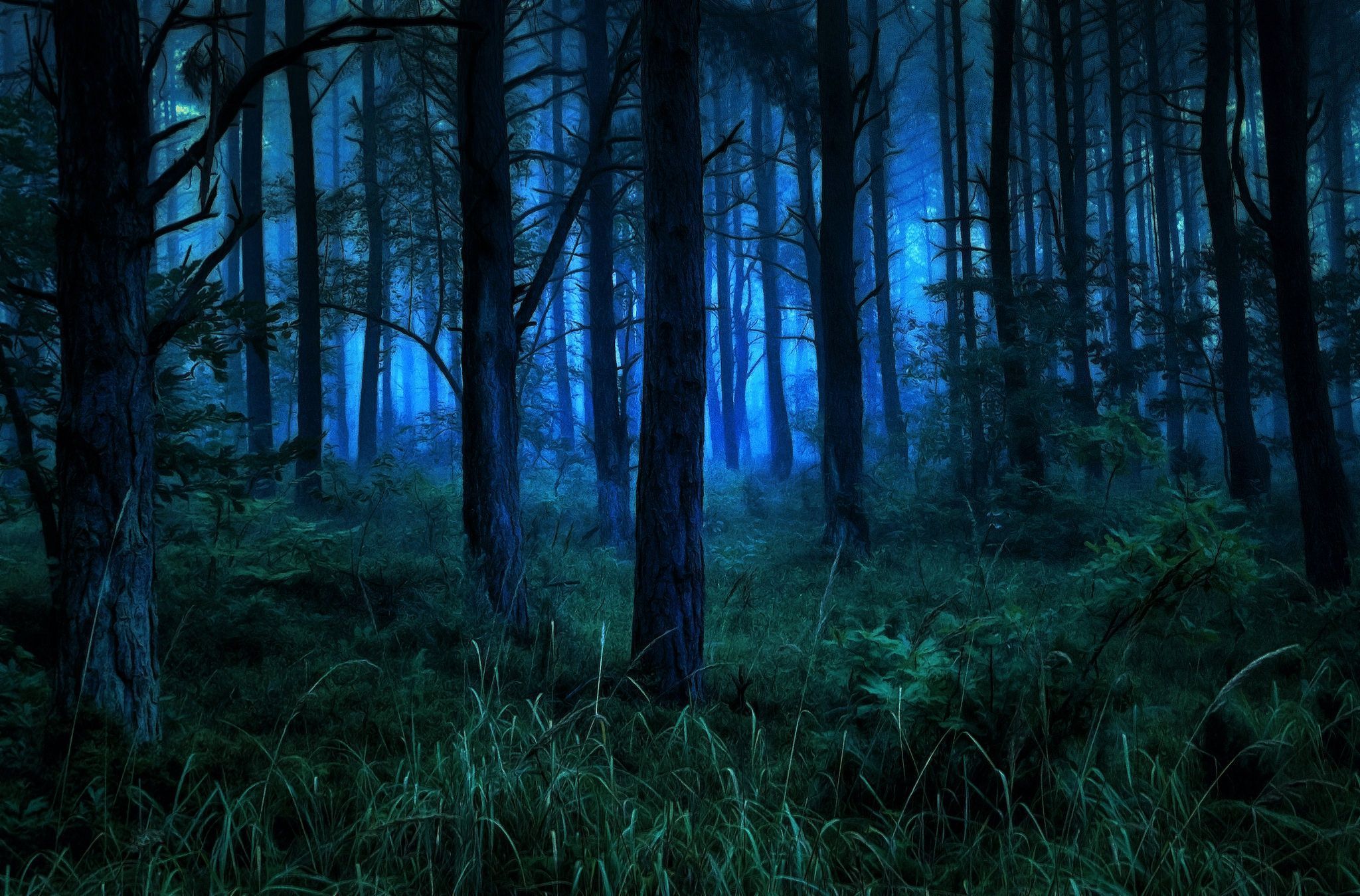 Dark Blue Forest Wallpapers - Top Free Dark Blue Forest Backgrounds ...