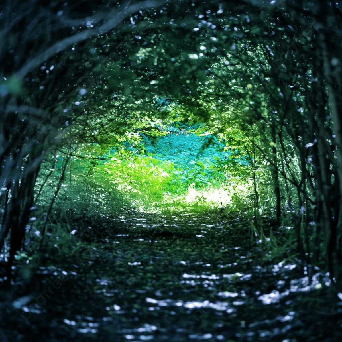 Dark Blue Forest Wallpapers - Top Free Dark Blue Forest Backgrounds ...