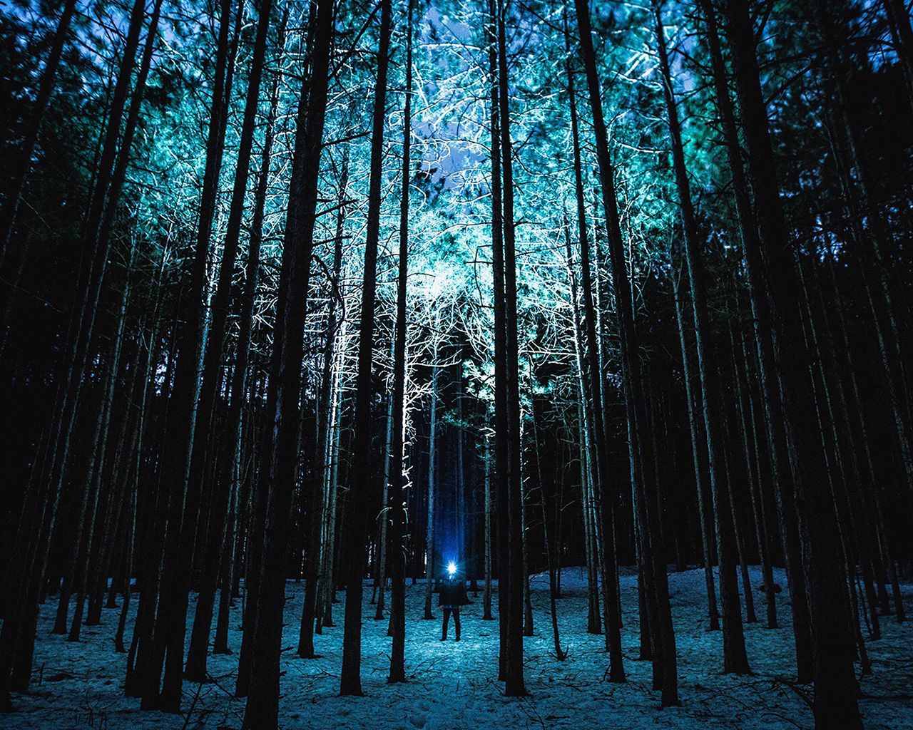Dark Blue Forest Wallpapers - Top Free Dark Blue Forest Backgrounds ...