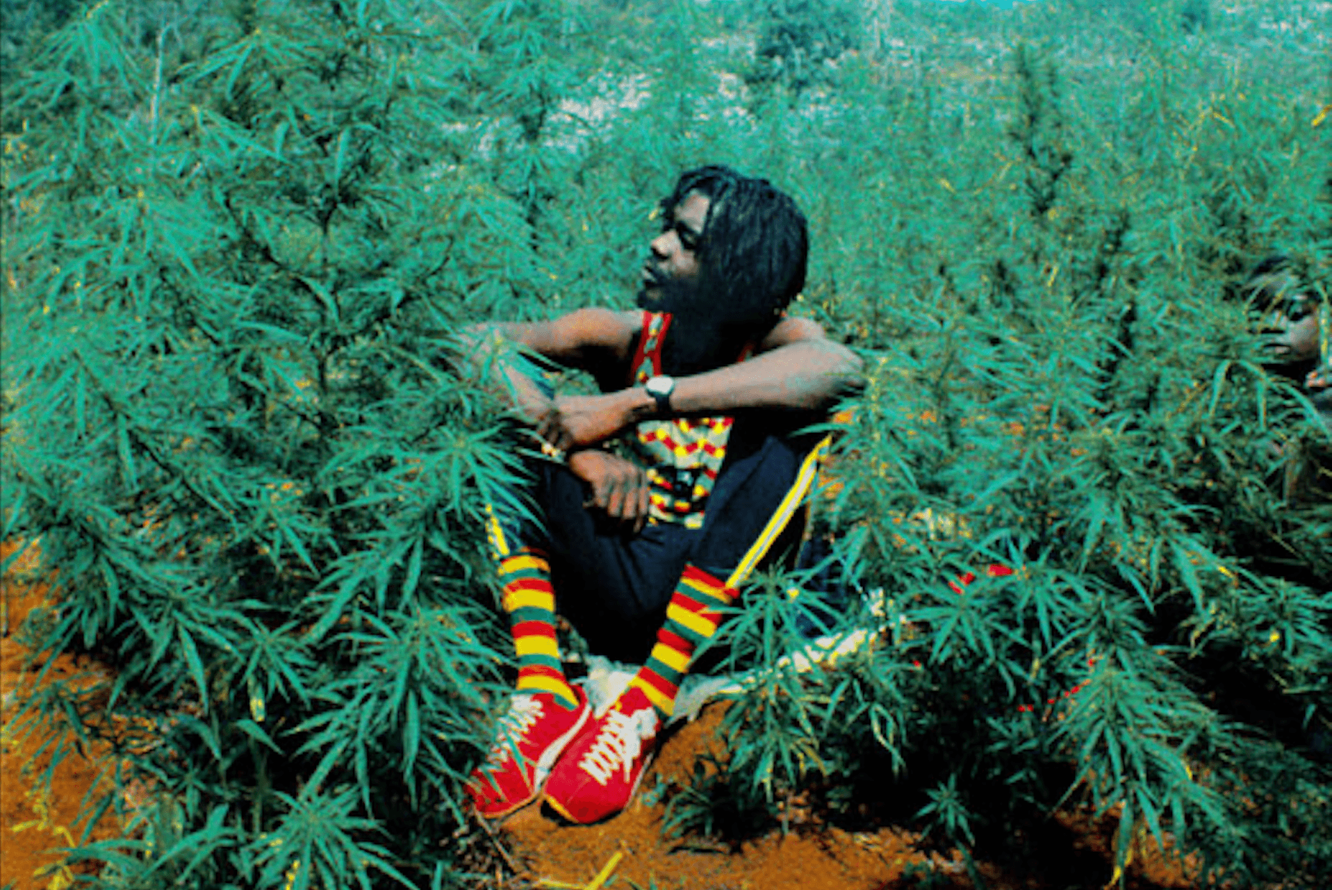 Peter Tosh Wallpapers - Top Free Peter Tosh Backgrounds - WallpaperAccess