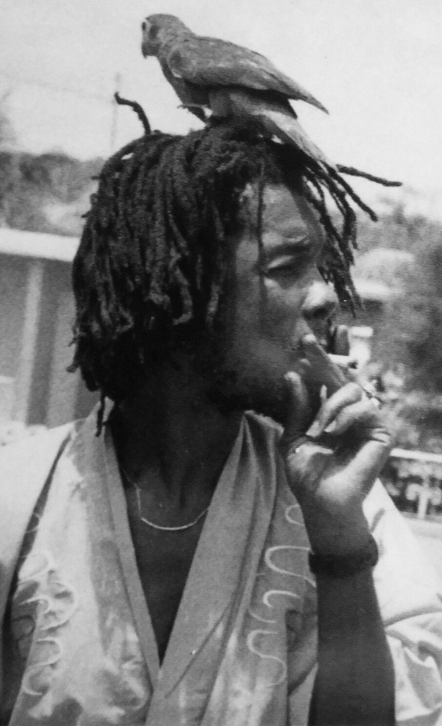 Peter Tosh Wallpapers - Top Free Peter Tosh Backgrounds - WallpaperAccess