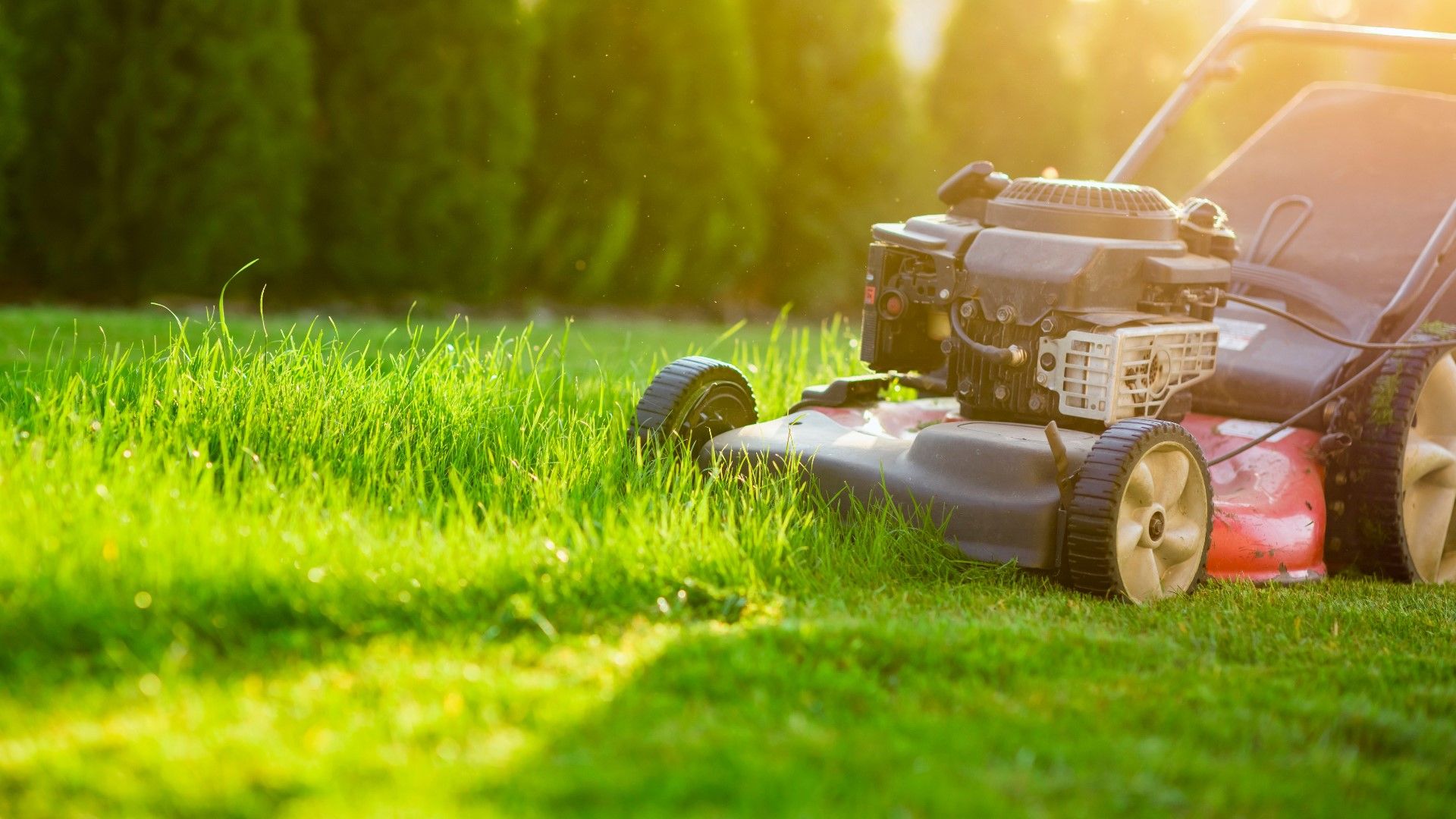 Lawn Mower Wallpapers - Top Free Lawn Mower Backgrounds - WallpaperAccess