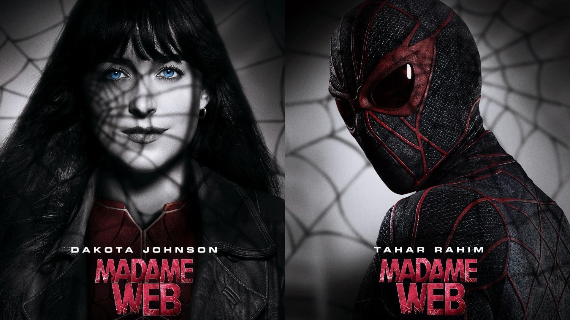 Madame Web Wallpapers - Top Free Madame Web Backgrounds - WallpaperAccess