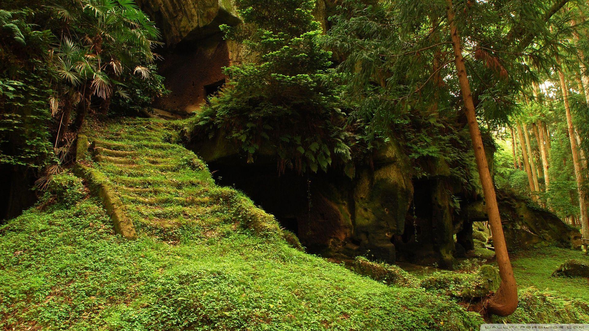 Ancient Forest Wallpapers - Top Free Ancient Forest Backgrounds ...