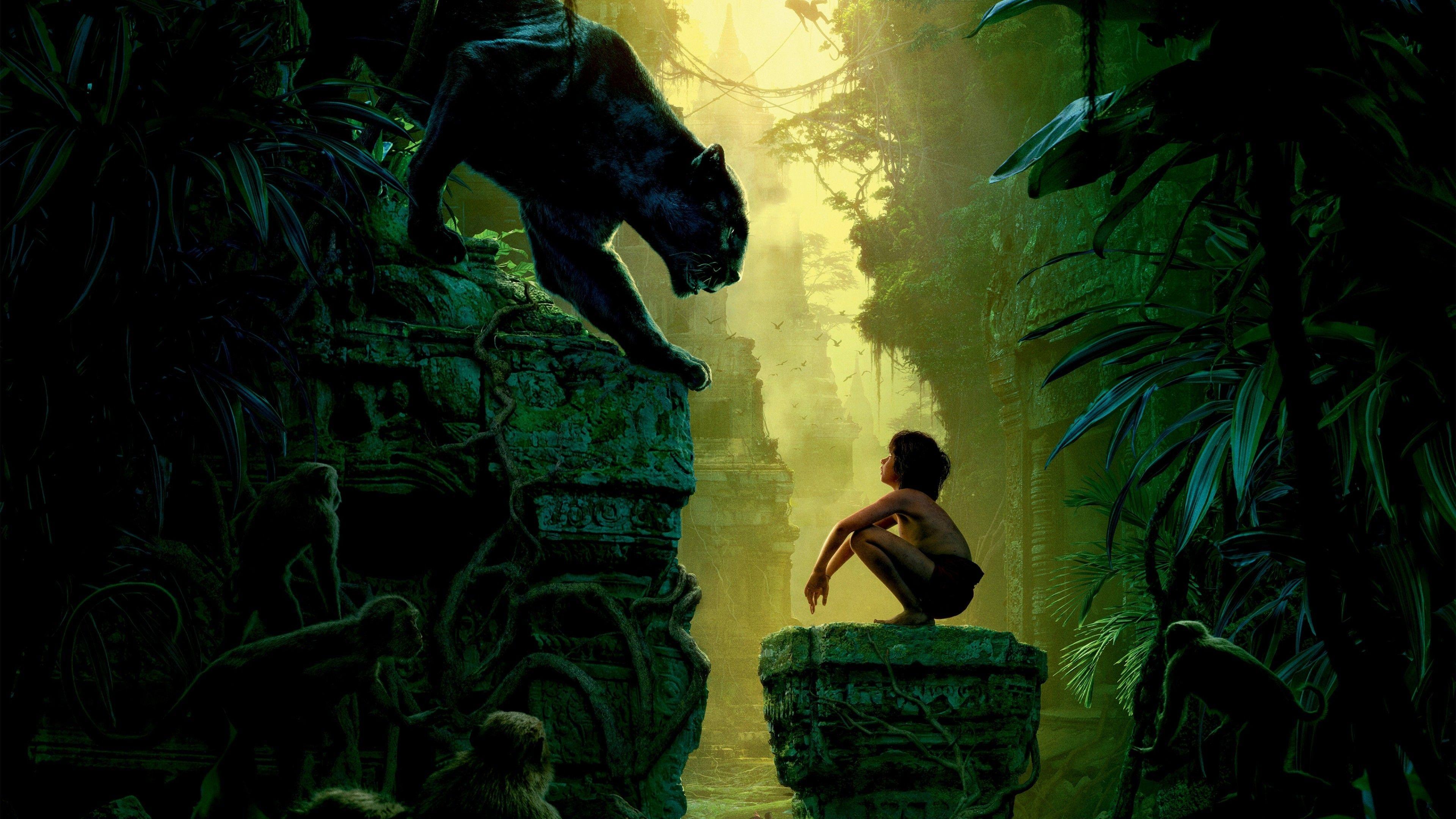 Ancient Forest Wallpapers - Top Free Ancient Forest Backgrounds ...