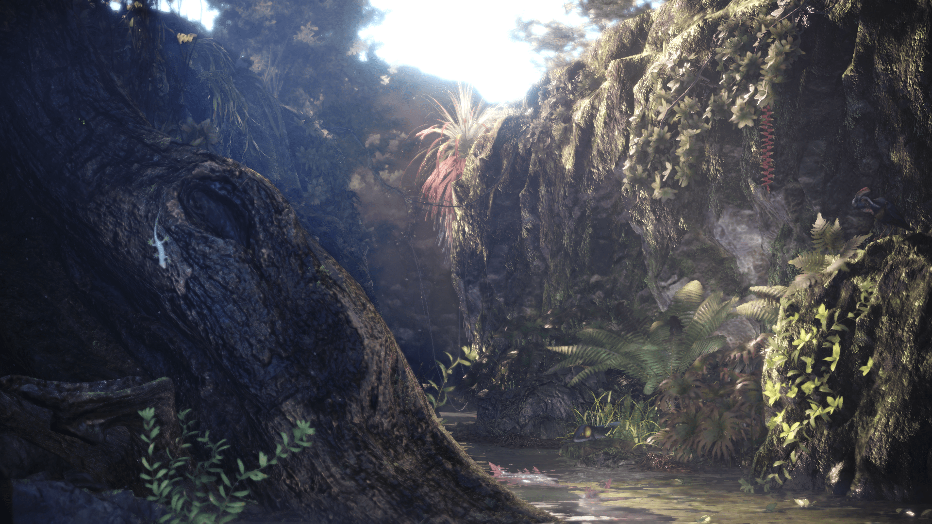Ancient Forest Wallpapers - Top Free Ancient Forest Backgrounds ...