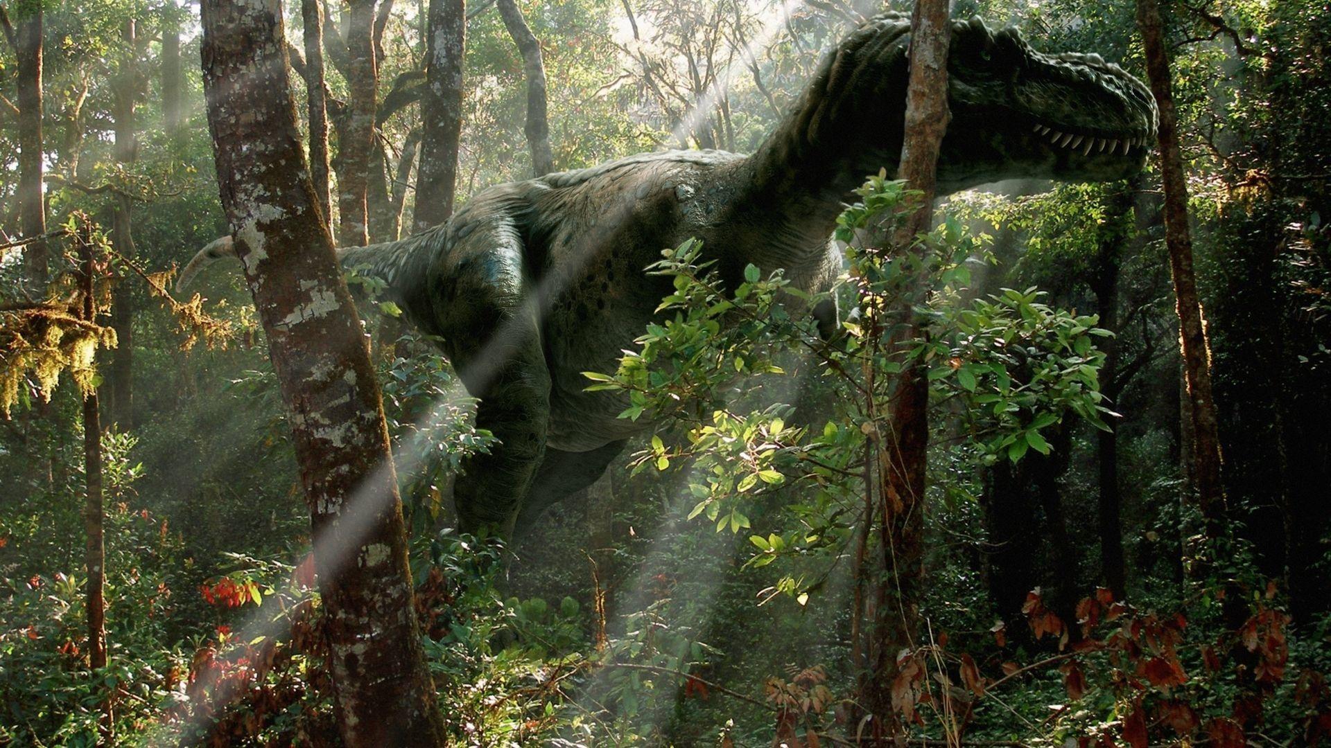 Ancient Forest Wallpapers - Top Free Ancient Forest Backgrounds ...