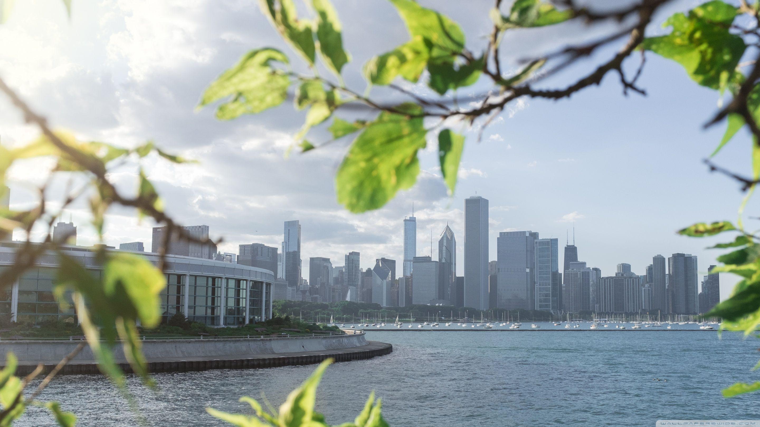 Chicago Summer Wallpapers - Top Free Chicago Summer Backgrounds ...
