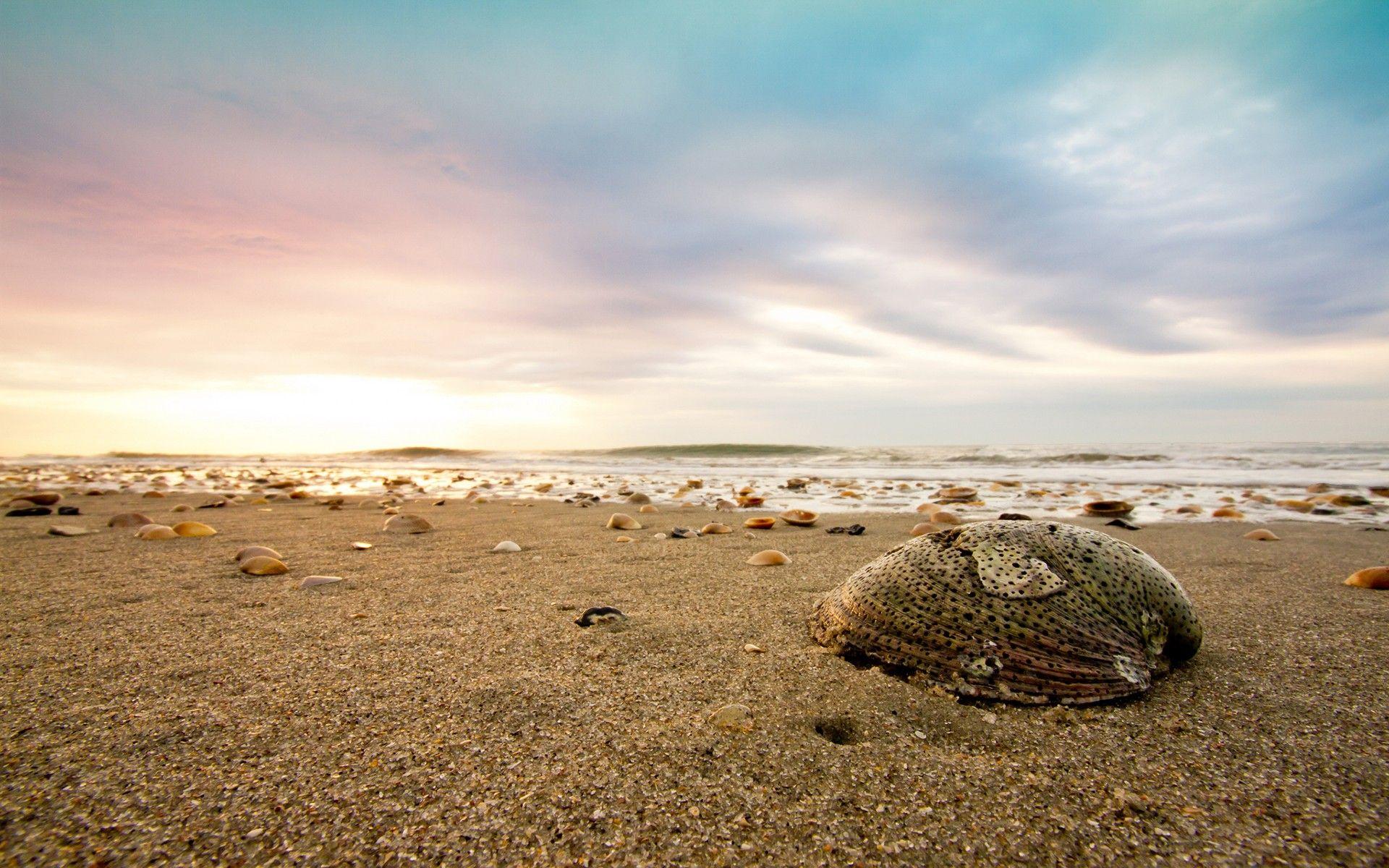 Apple Beach Wallpapers - Top Free Apple Beach Backgrounds - WallpaperAccess