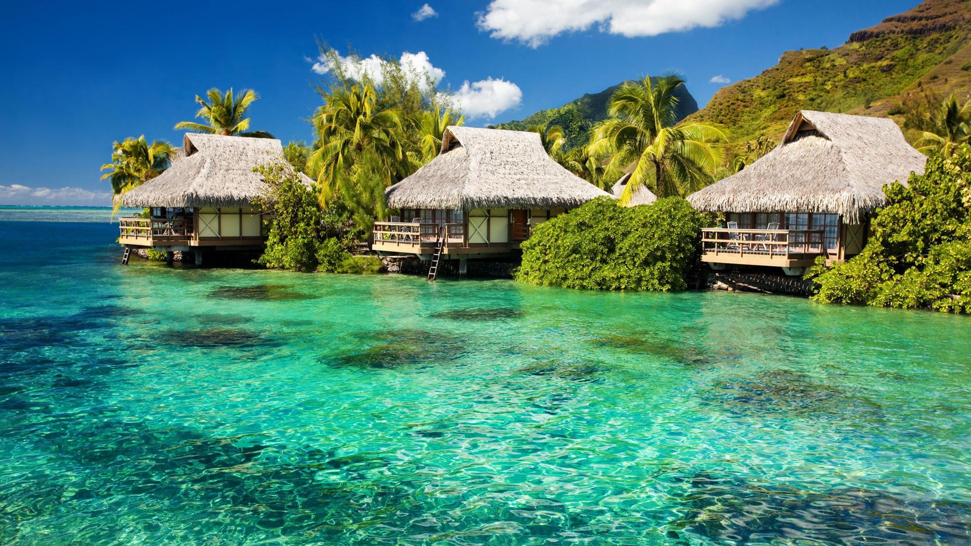 1920X1080 HD Desktop Wallpapers - Top Free 1920X1080 HD Desktop ...